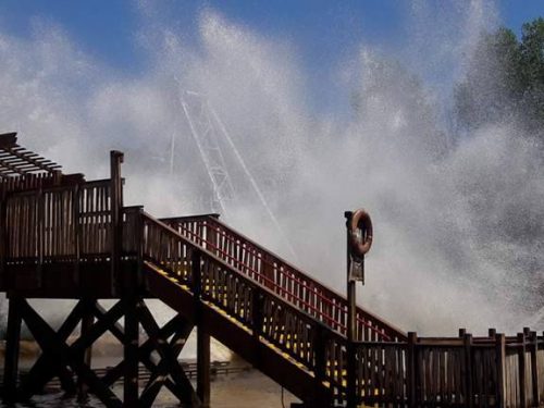 Tips for Spending a Day at a Theme Park