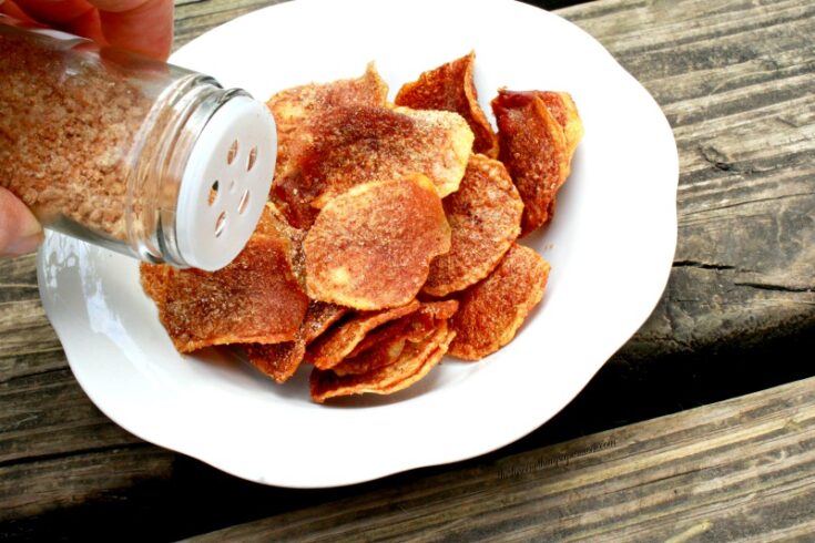Homemade Barbecue Potato Chips Air Fryer or Oven
