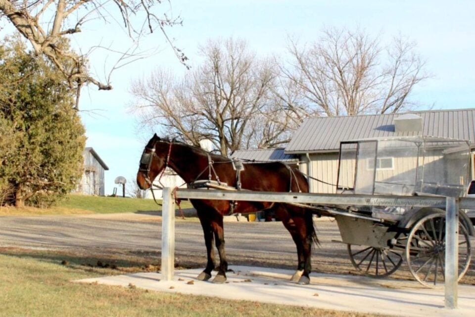 Kalona Iowa Things to Do & Where to Eat, Shop & Visit