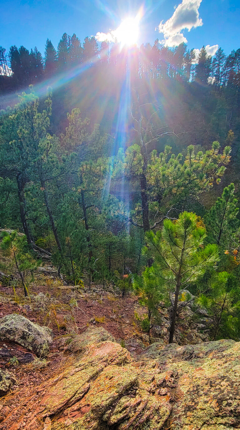 31 Best Things to Do in Custer State Park